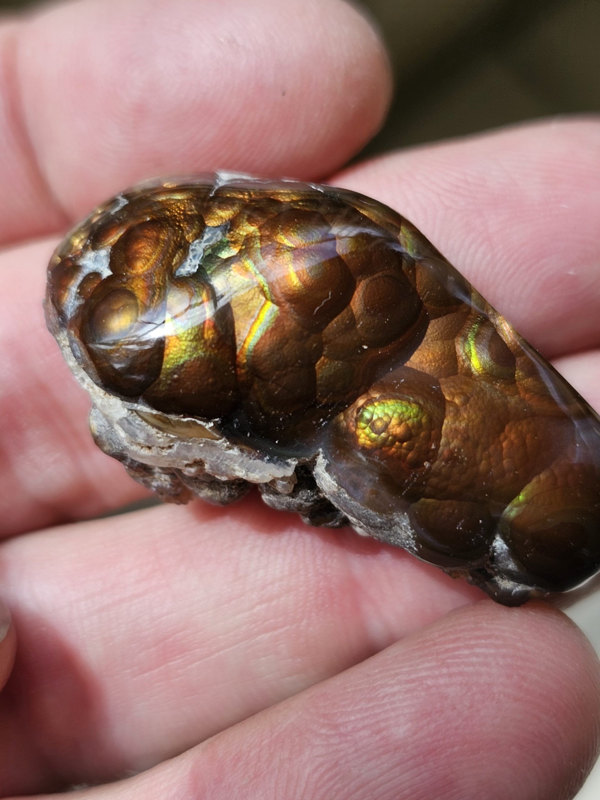 Buy Fire Agate - Gallery TCR | Online Rock Shop